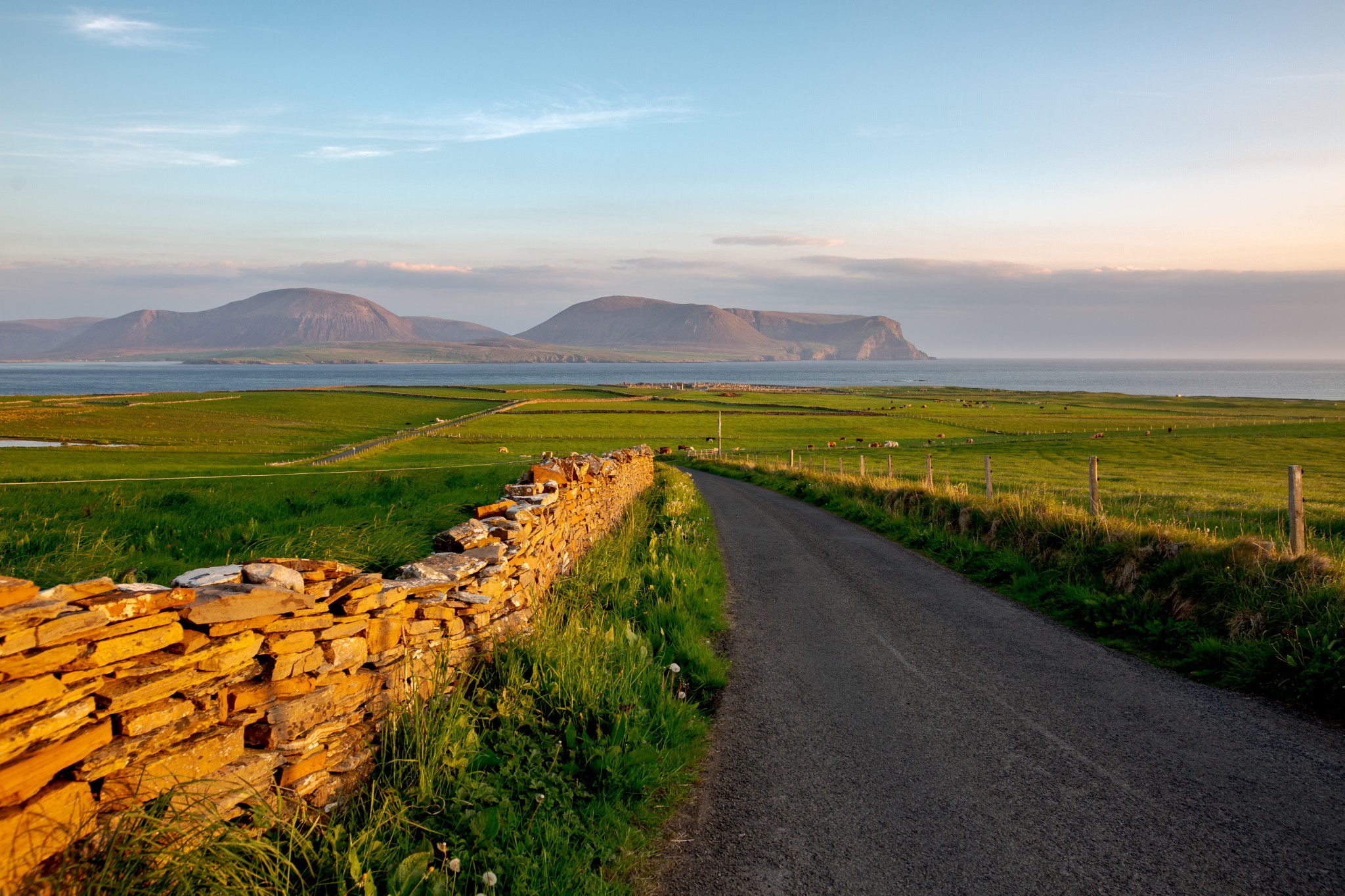 July 2021 Newsletter | Orkney.com