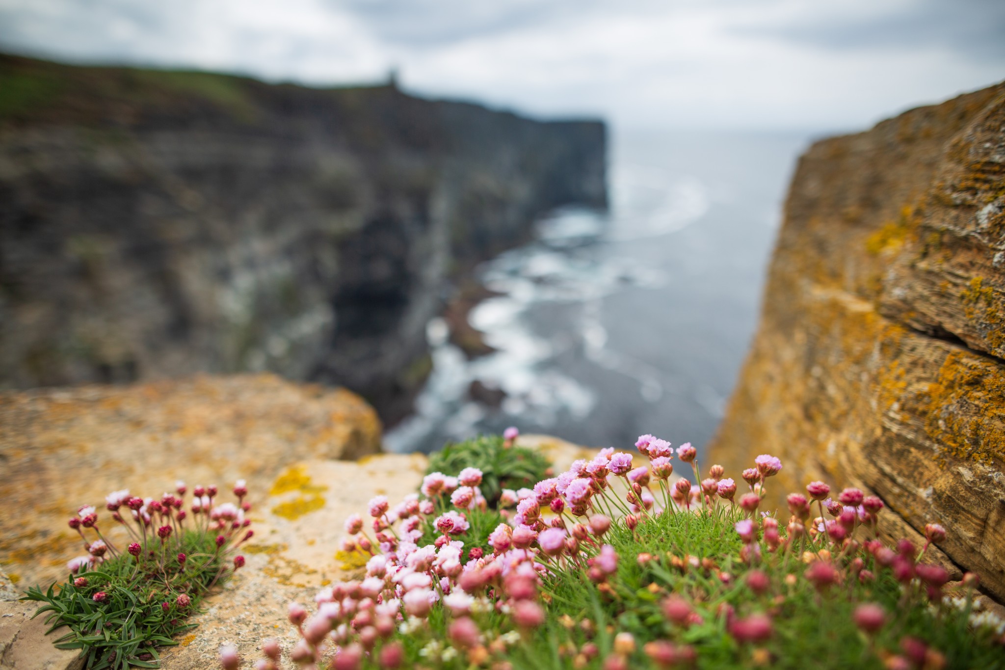 2021 - a year in images | Orkney.com