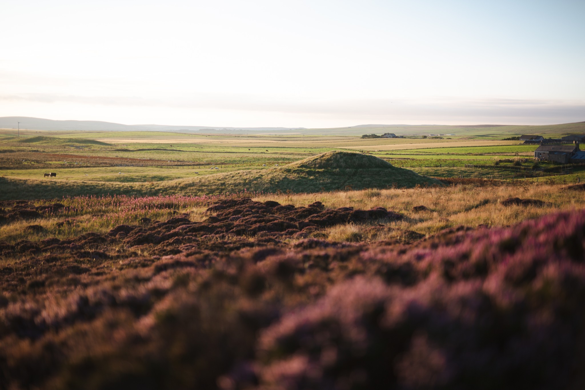 Knowes of Trotty | Orkney.com