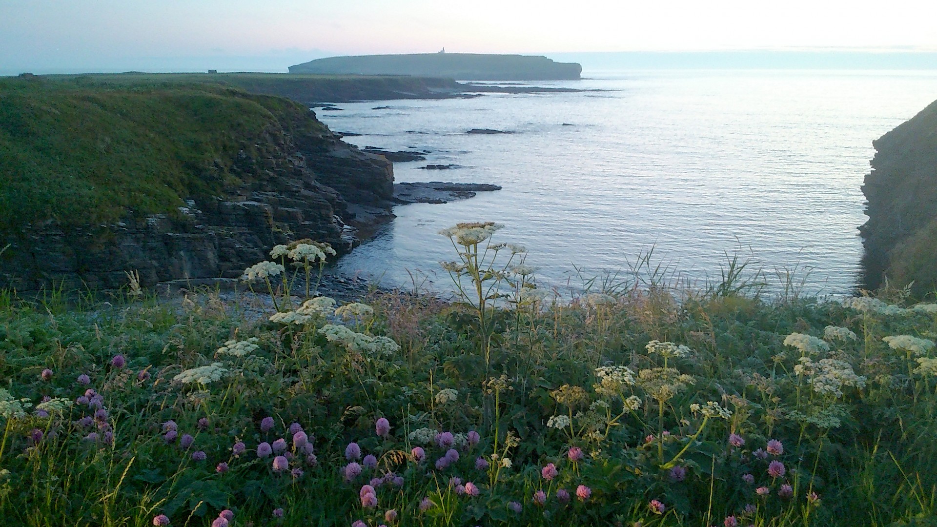 Forest Bank Therapies | Orkney.com