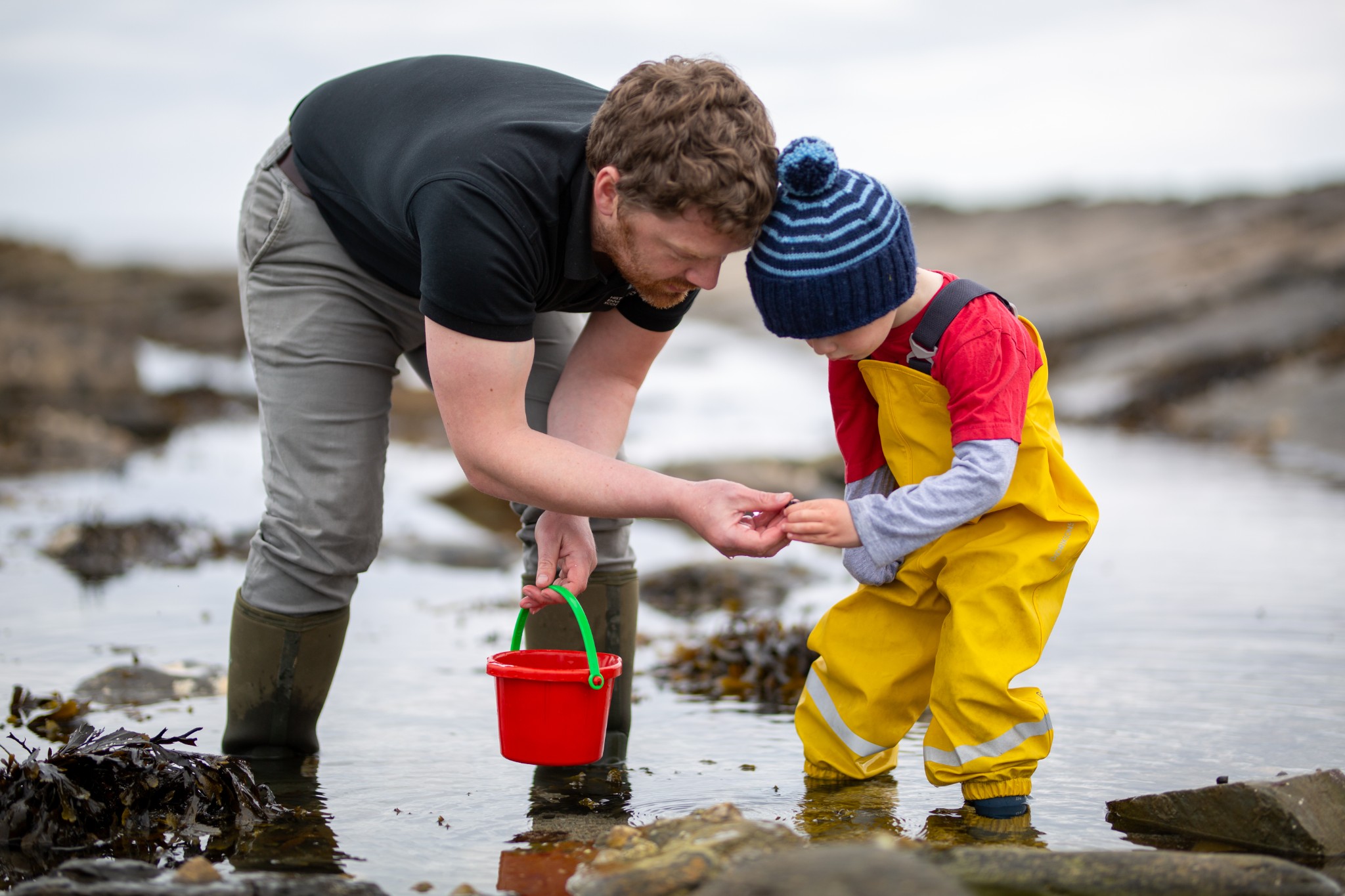 Discover Orkney's nature and wildlife highlights | Orkney.com
